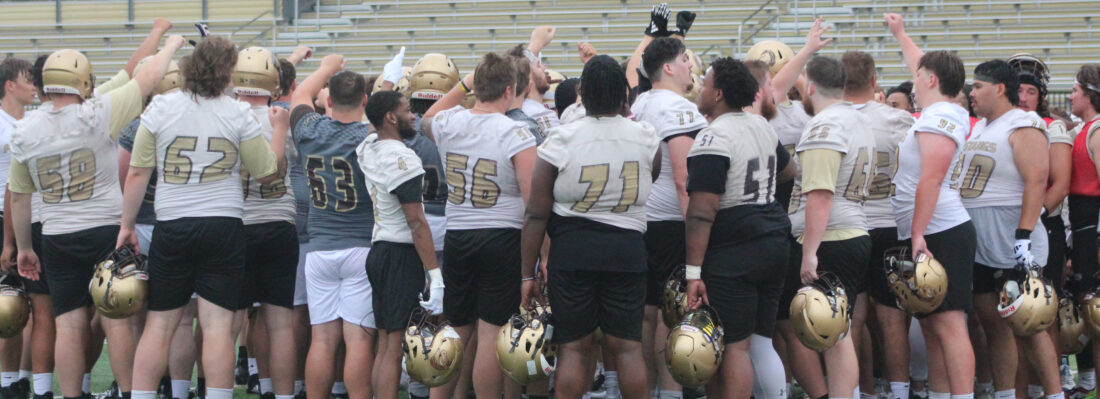 New-look Mustangs look to reach new heights | News, Sports, Jobs ...